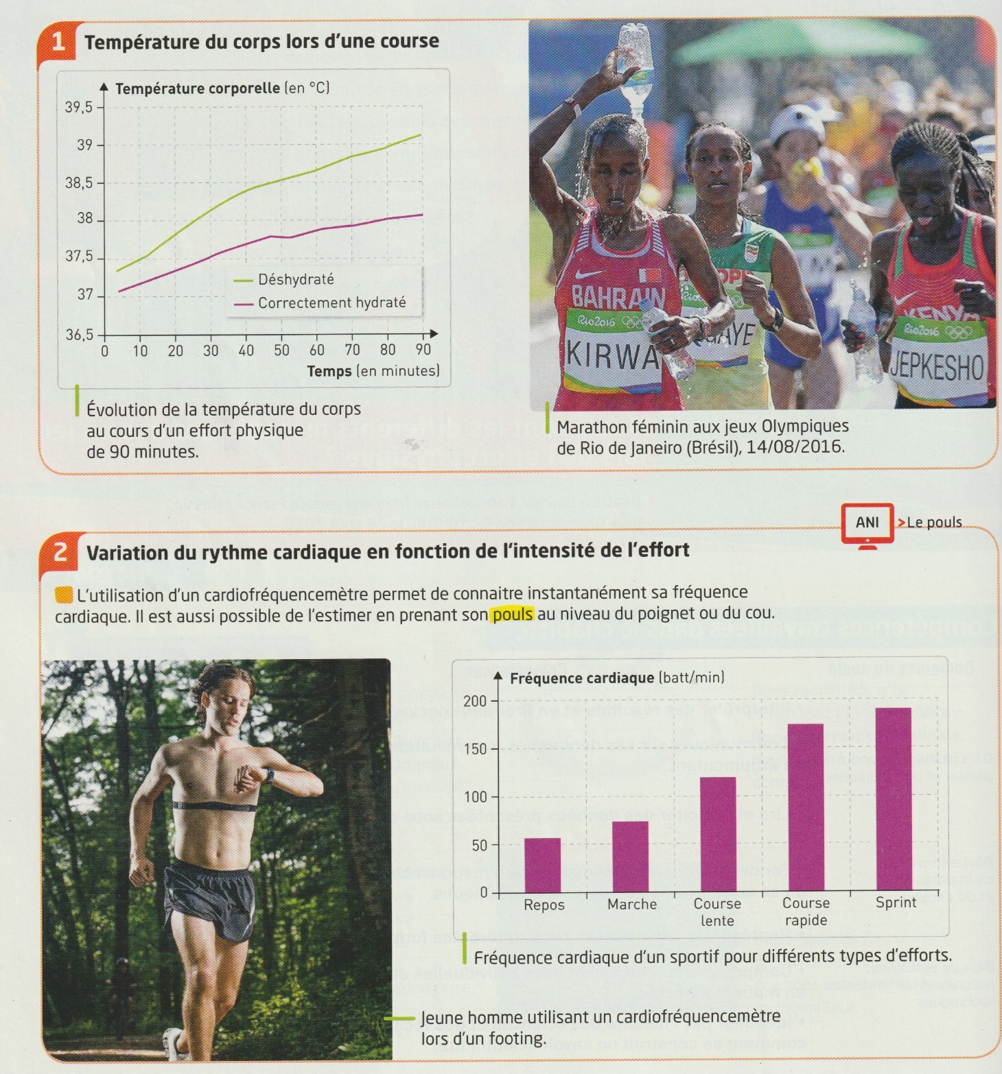 Act. 1 : Comment notre organisme réagit-il à l'effort